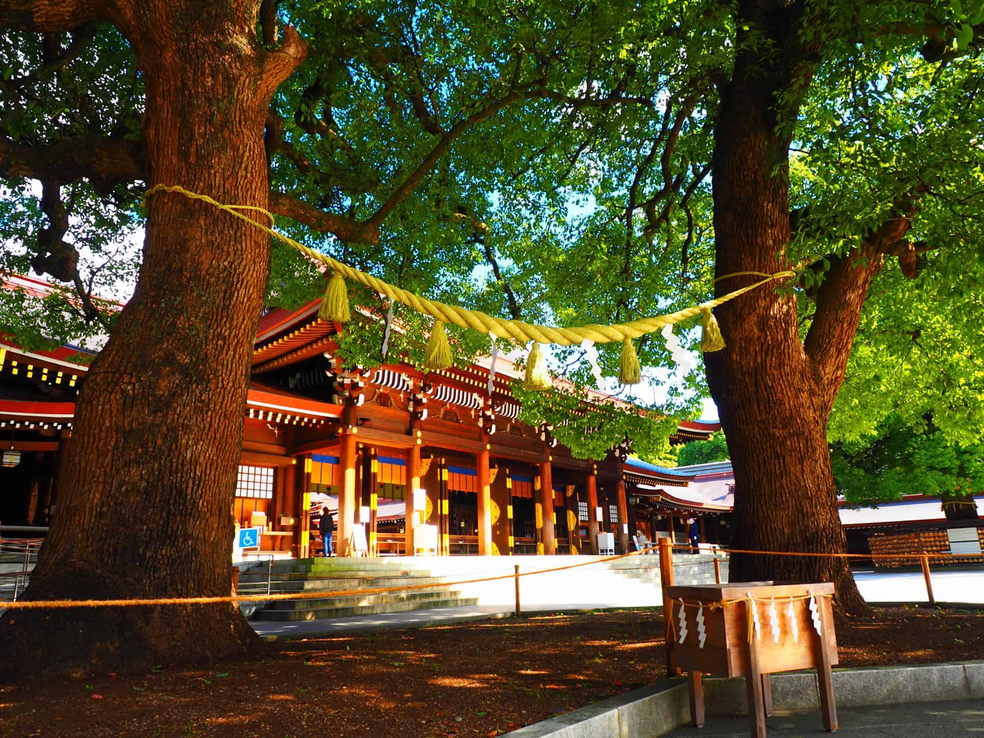 Meiji Shrine: Tokyo's Sacred Forest Sanctuary | Japan's Cultural Heritage
