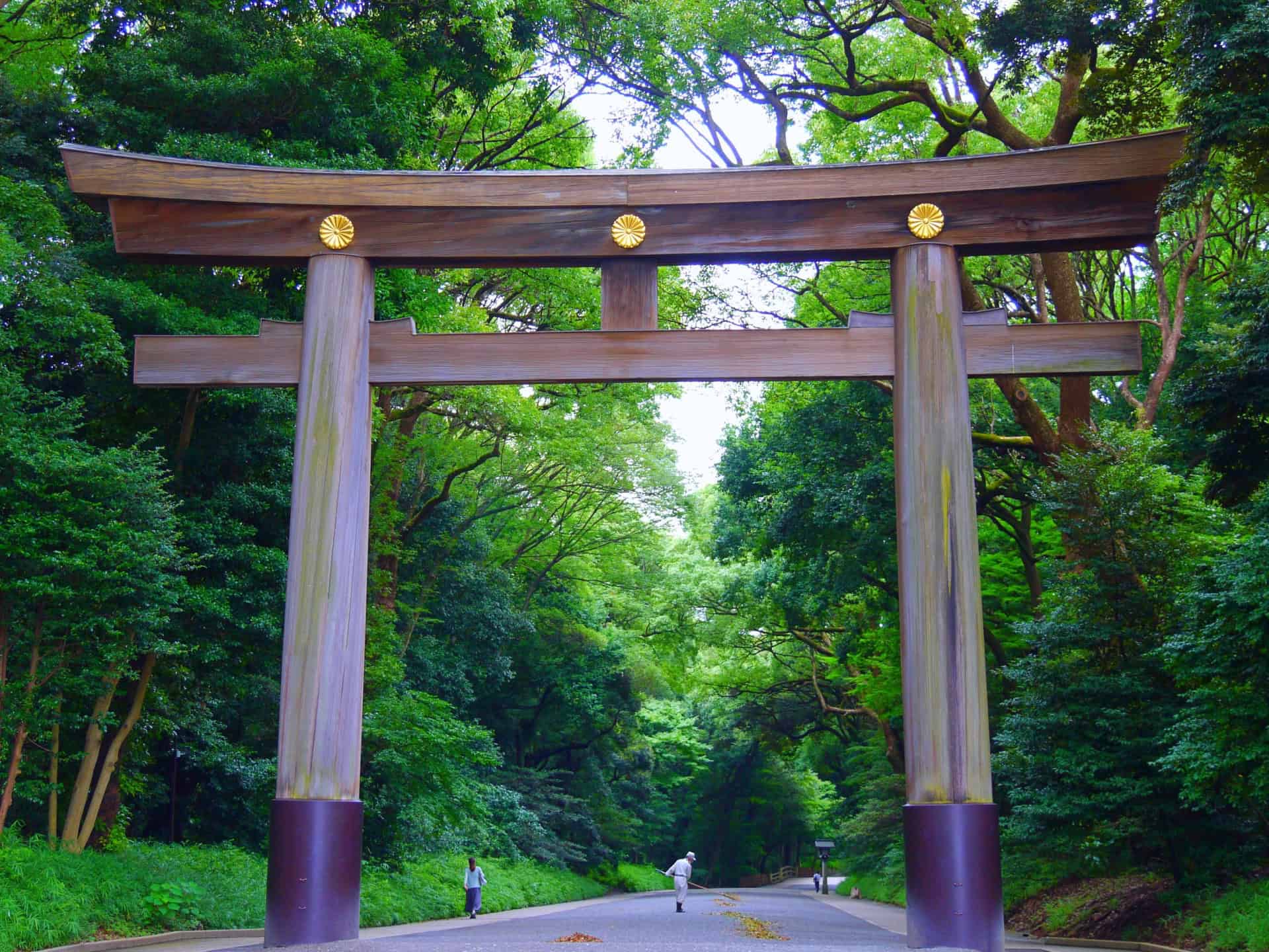 Meiji Shrine: Tokyo's Sacred Forest Sanctuary | Japan's Cultural Heritage