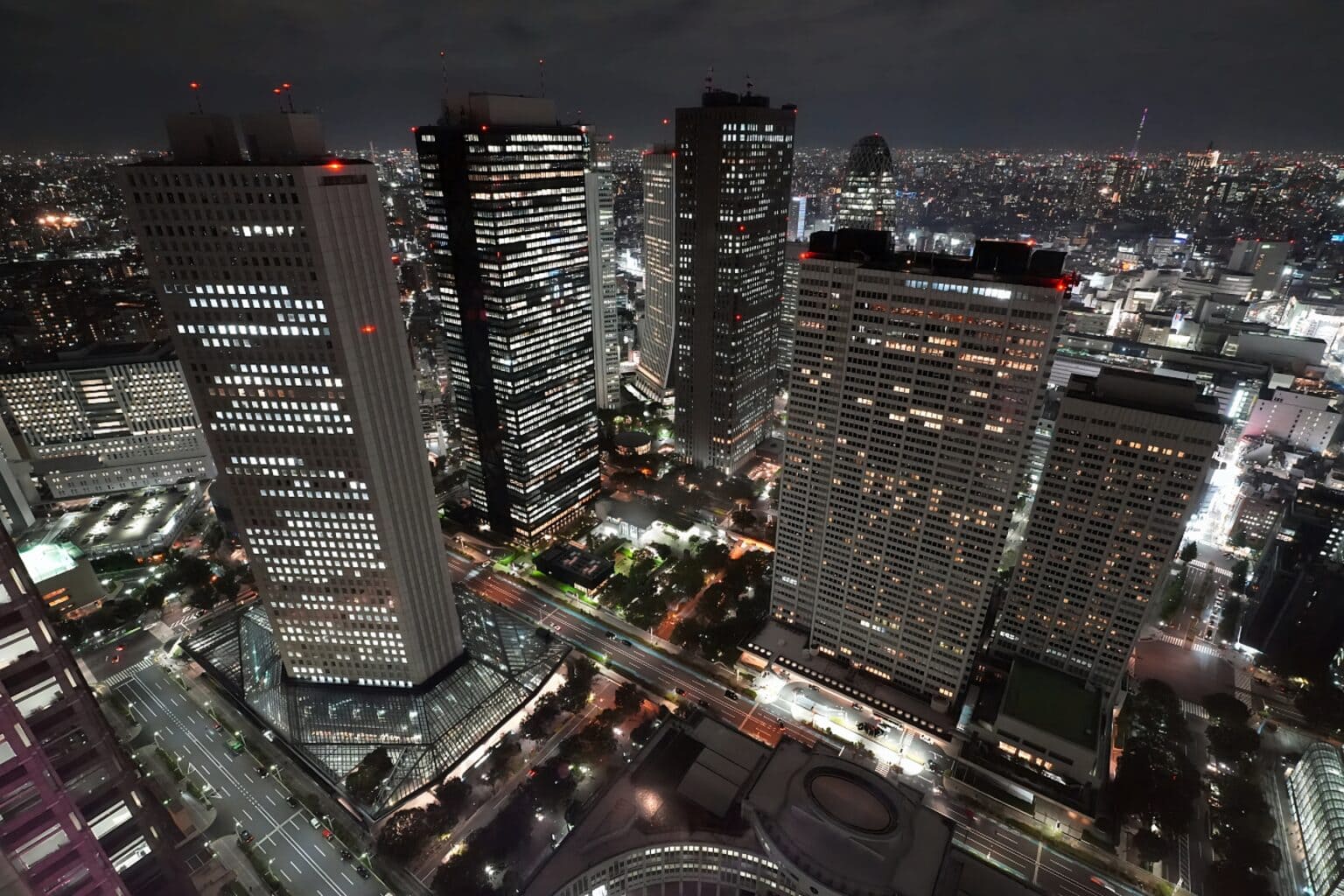 Dining Among the Stars: Shinjuku's Most Breathtaking Skyline ...
